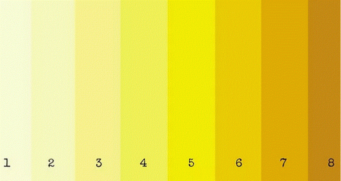 Les couleurs des urines et leurs significations - NewsMAG